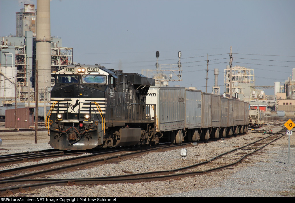 Palindrome Crossing Over